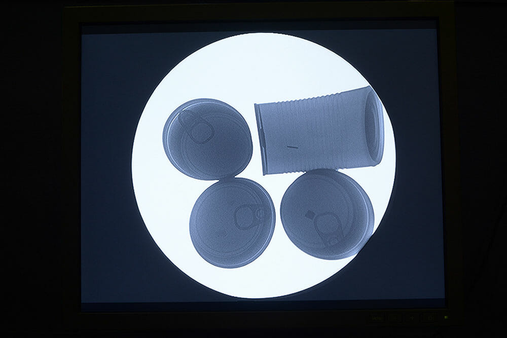 Third-Party X-Ray Food Inspection — FlexXray®